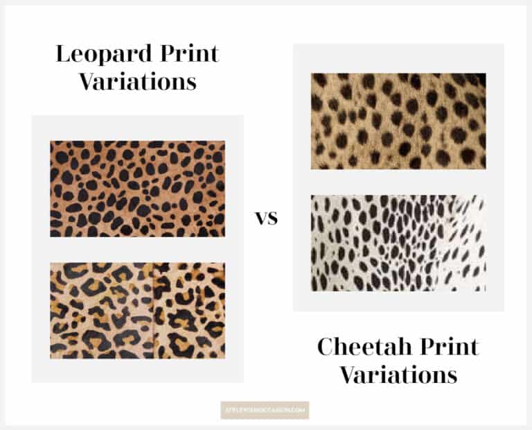The Ultimate Guide: Cheetah Print vs Leopard - Powerful Email Solutions